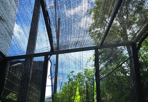 Custom Shade Net Manufacturer - ntropenet